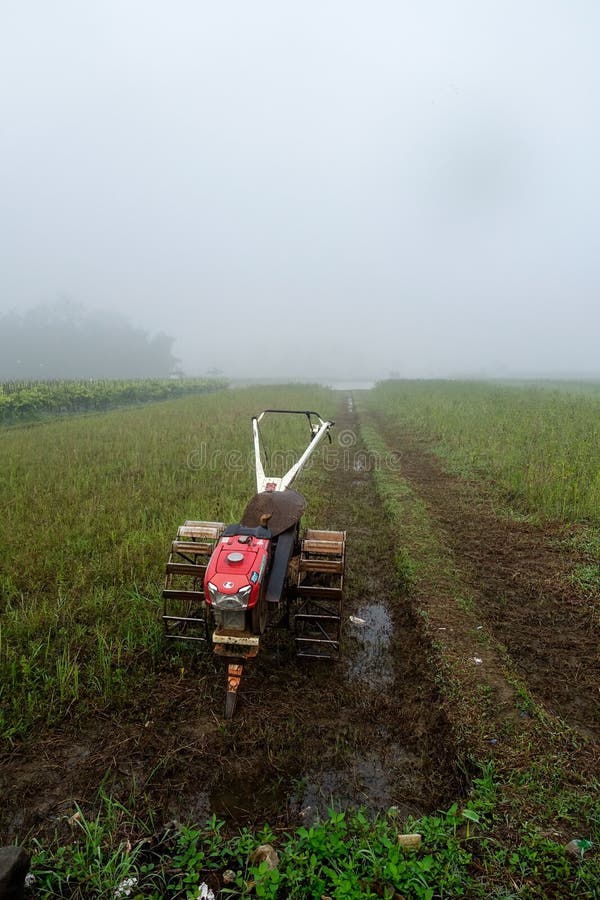 Tractor Machine on the Rice Fields Editorial Image - Image of central ...