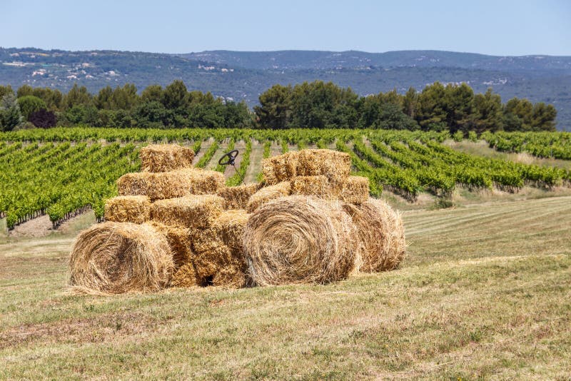 Tractor Made Hay Stock Photos - Free & Royalty-Free Stock Photos from ...