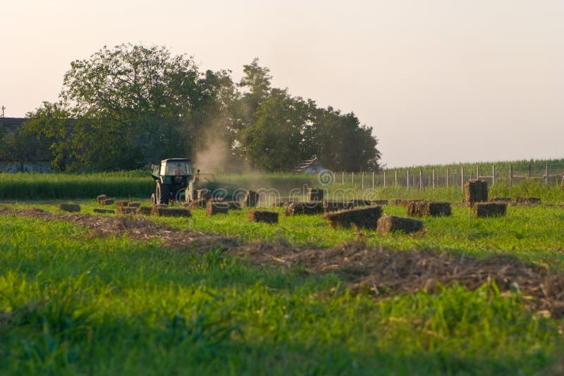 Tractor making Hay bales stock image. Image of bales - 10382903