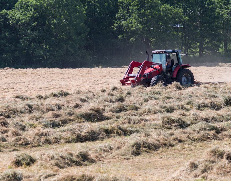 Tractor making hay stock photo. Image of tractor, thrashing - 32111842