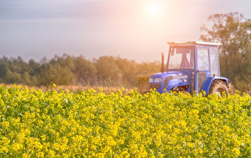 Tractor stock photo. Image of farm, blue, biofuel, fuel - 101869554