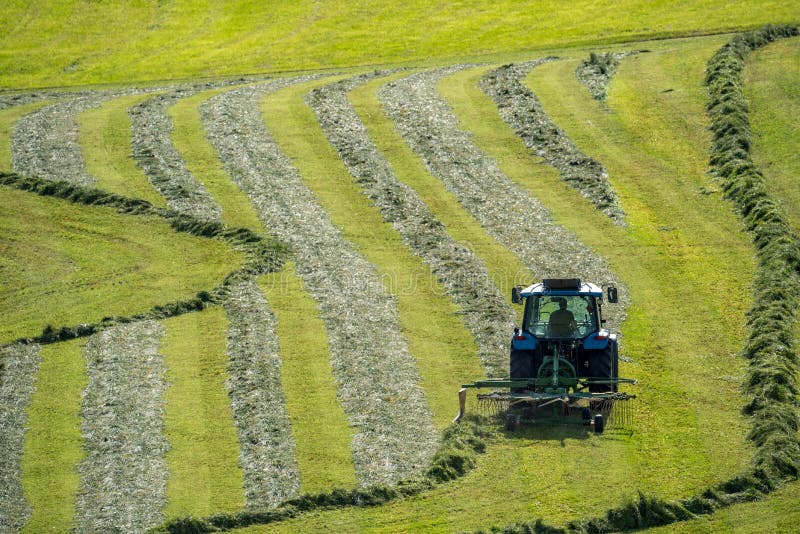 The Tractor Moving the Grass on the Field Stock Photo - Image of ...