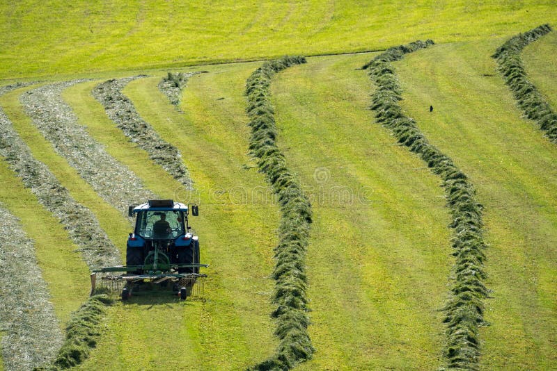 The Tractor Moving the Grass on the Field Stock Photo - Image of ...