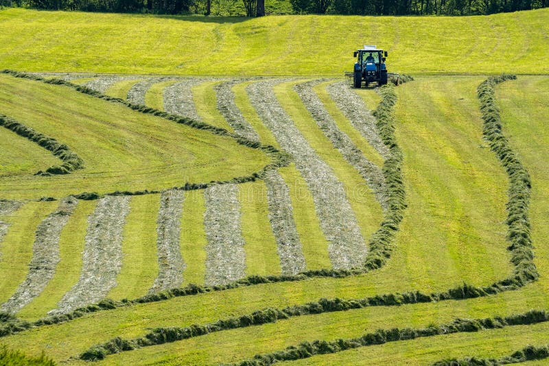 The Tractor Moving the Grass on the Field Stock Image - Image of ...