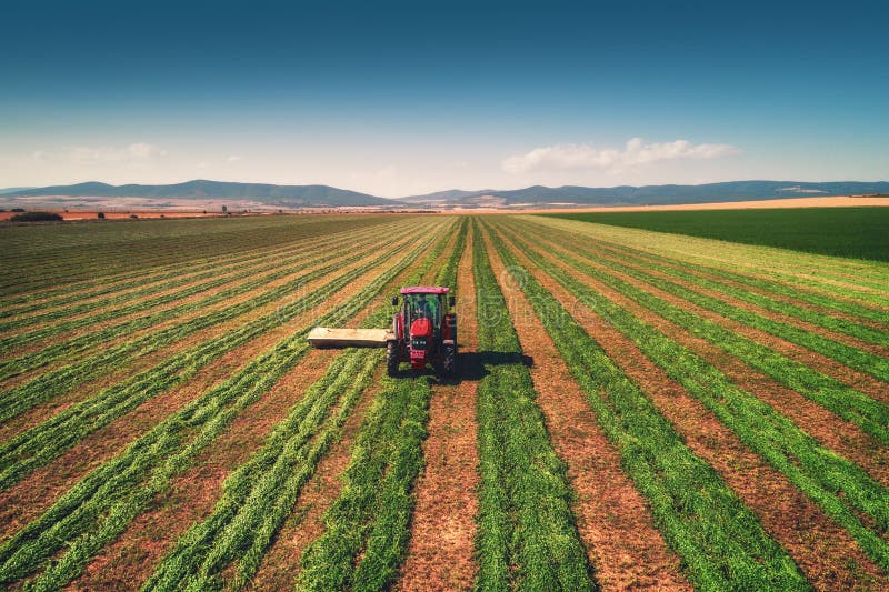 Tractor mowing green field stock image. Image of maintenance - 136727317