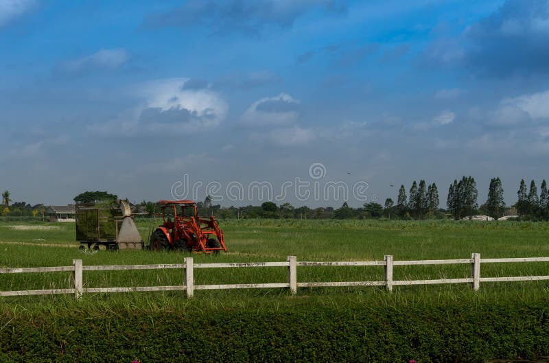 Tractor with Mowing Machine Lawn Mower at Farm Stock Photo - Image of ...