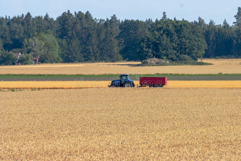 Tractor Out in the Fields Farming Editorial Stock Image - Image of ...