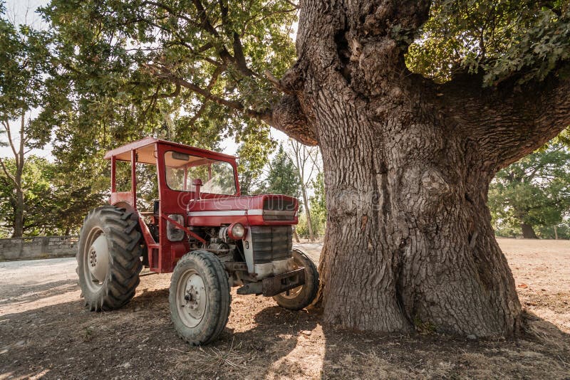 Tractor Parked Under a Plane Tree on a Village Square Stock Image ...