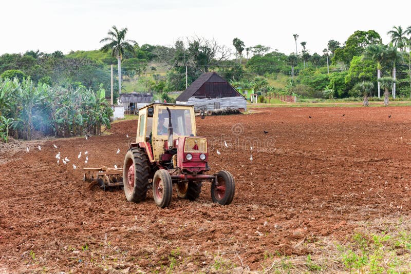 Cuba tractor editorial photo. Image of agricultural, agriculture - 94079476