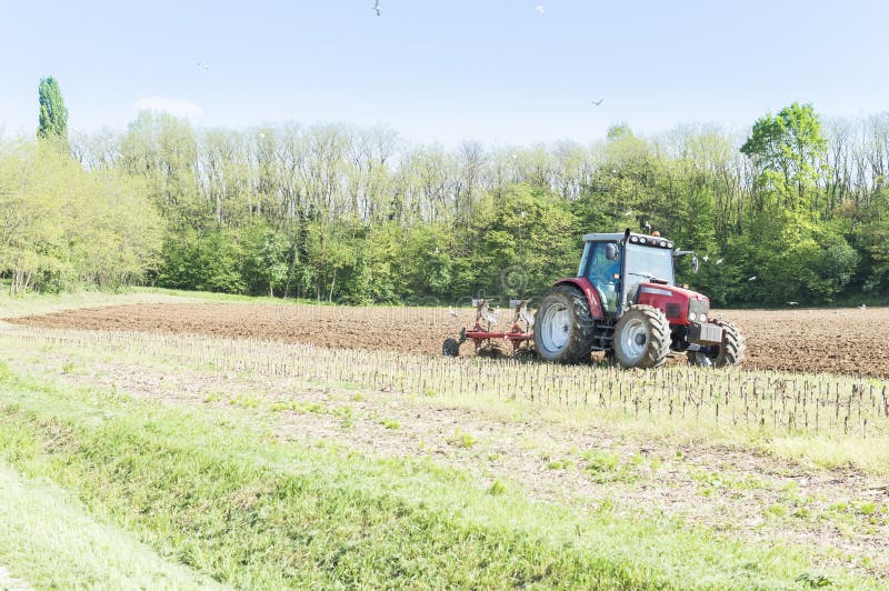 Tractor plowing the fields stock photo. Image of wheat - 71842598