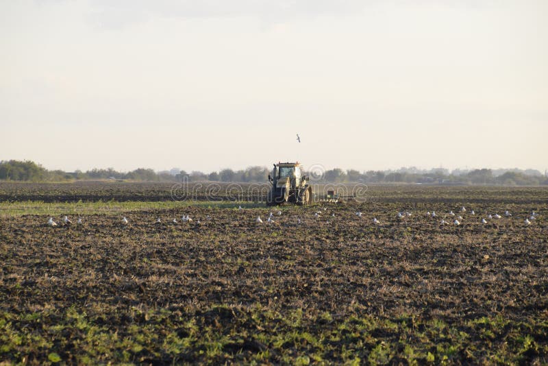 Tractor Plowing Plow the Field. Tilling the Soil in the Fall after ...