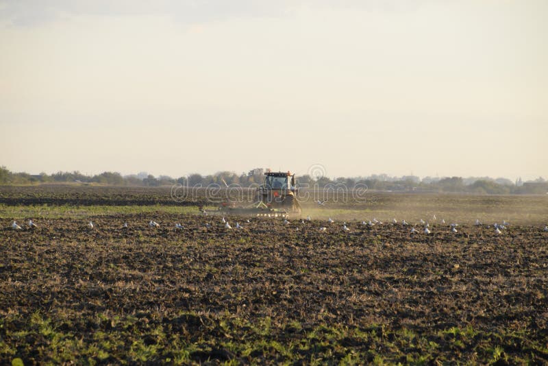 Tractor Plowing Plow the Field. Tilling the Soil in the Fall after ...