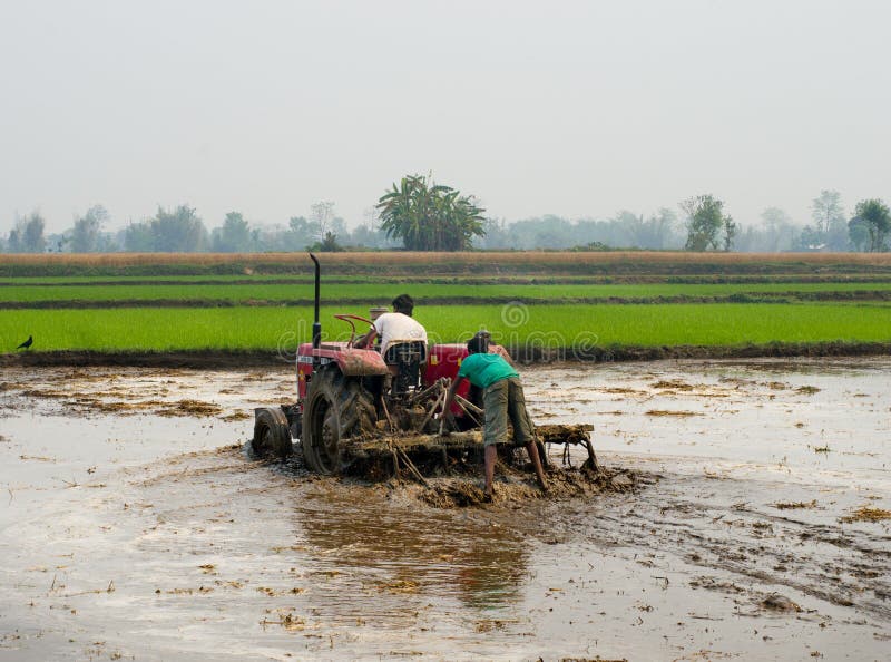 Agriculture Nepal Tractor Stock Photos - Free & Royalty-Free Stock ...
