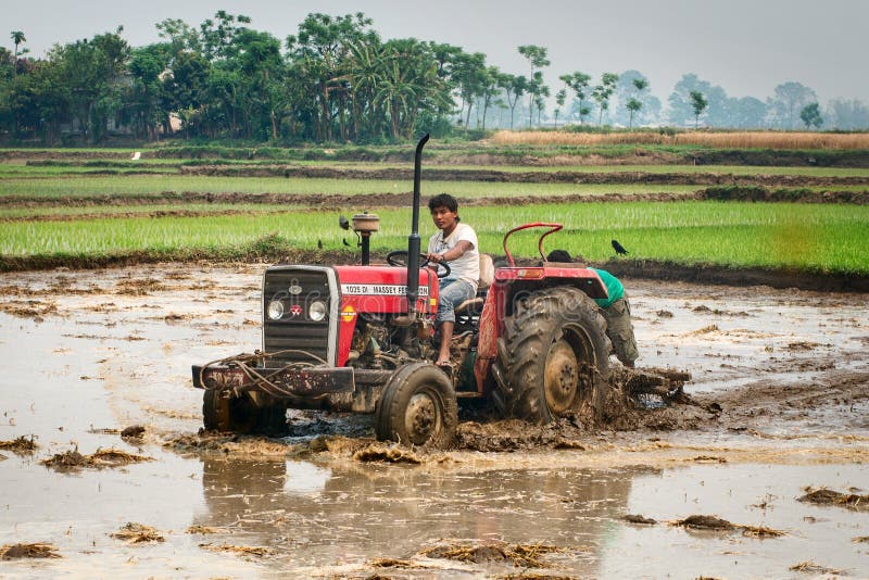 Agriculture Nepal Tractor Stock Photos - Free & Royalty-Free Stock ...