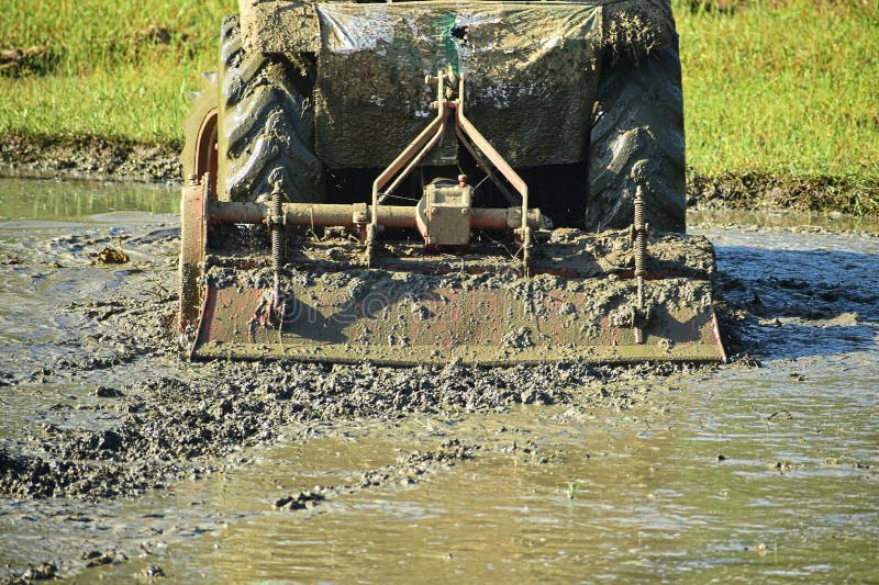 Tractor Plowing. Tractor Working on Mud Field for Rice Plantation in ...