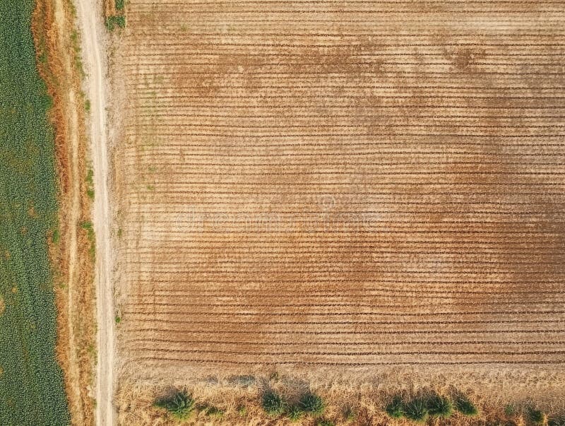Tractor Plows Field stock photo. Image of tillage, aerial - 380800686