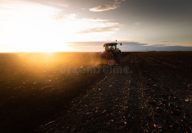 Tractor on the Field during Sunset Stock Photo - Image of view, vehicle ...