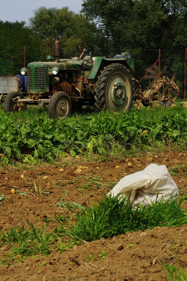 Tractor potatoe harvest 3 stock image. Image of nature - 44485377