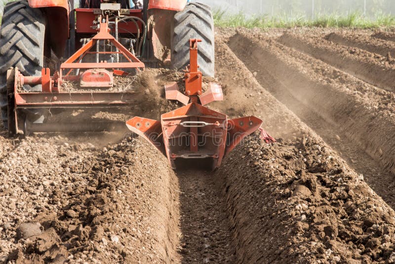 Soil Preparation for Sowing Vegetable in Field Stock Photo - Image of ...