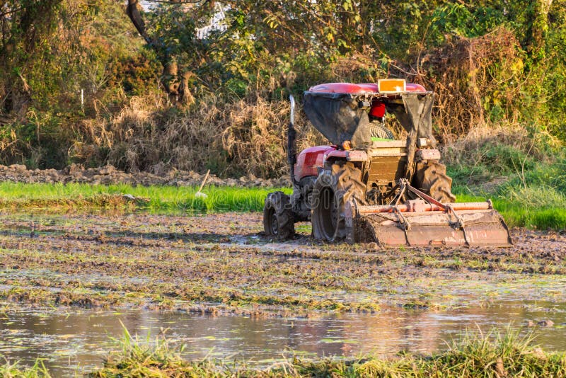 Tractor in Rice Field, Mechanism Farmer Rice Cultivation Stock Photo ...