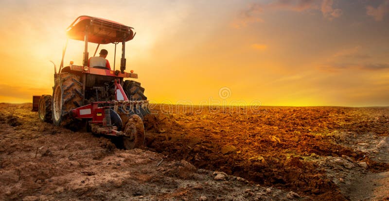 Tractor is Preparing the Soil for Planting Over Sunset Sky Background ...