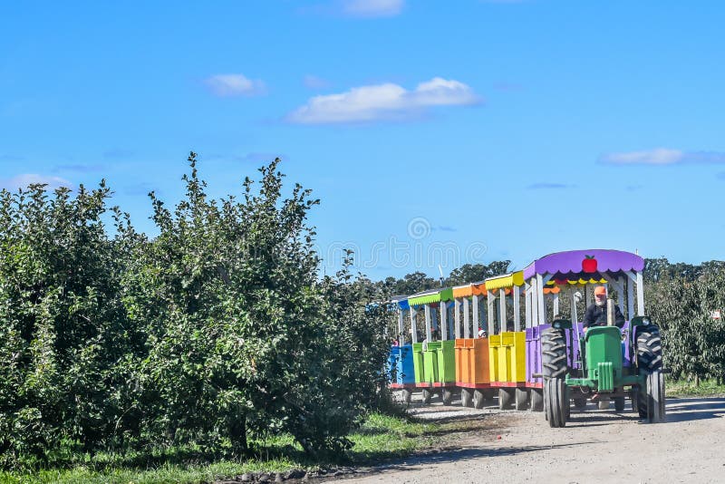 Tractor Pulled Train Rides through Apple Orchard Editorial Stock Image ...