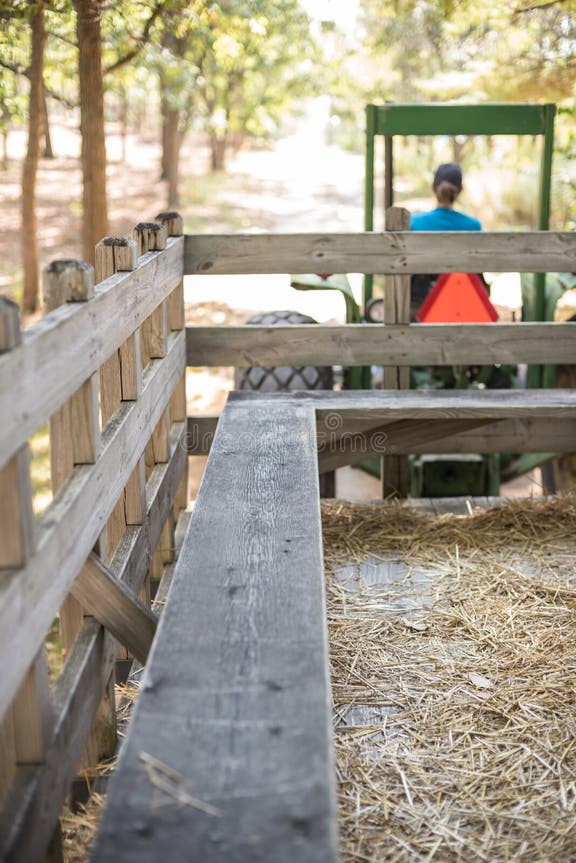 Tractor Pulling Hay Ride Cart on Trail through Trees Stock Photo ...