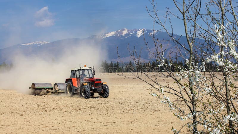Tractor Pulling Heavy Metal Roller, when Preparing Dry Field in Stock ...