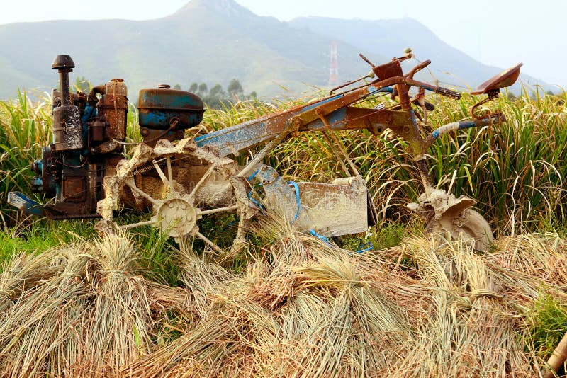 Tractor in Rice Field, Mechanism Farmer Rice Cultivation Stock Image ...