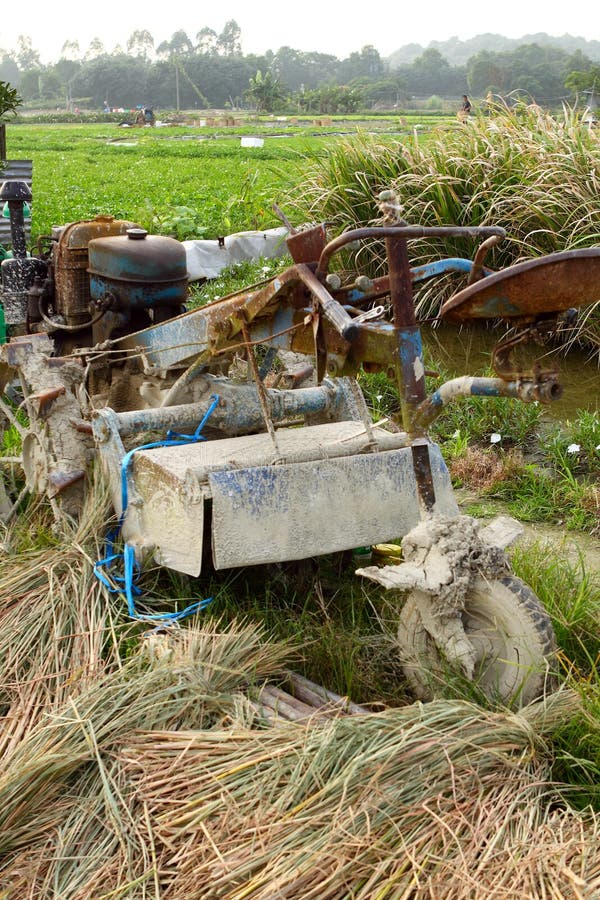 Tractor in Rice Field, Mechanism Farmer Rice Cultivation Stock Photo ...