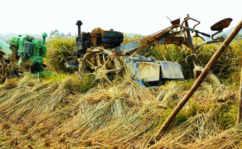 Tractor in Rice Field, Mechanism Farmer Rice Cultivation Stock Image ...