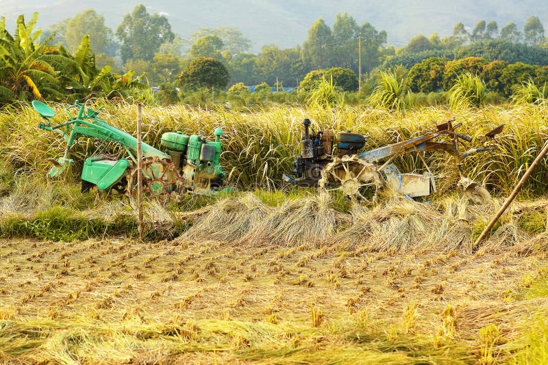 Tractor in Rice Field, Mechanism Farmer Rice Cultivation Stock Photo ...