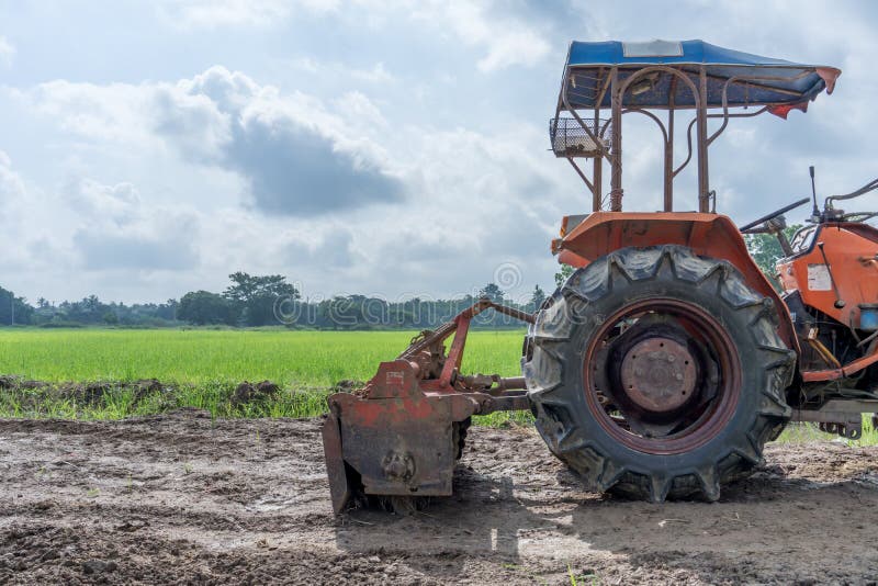 Tractor in Rice Field, Mechanism Farmer Rice Cultivation Stock Image ...