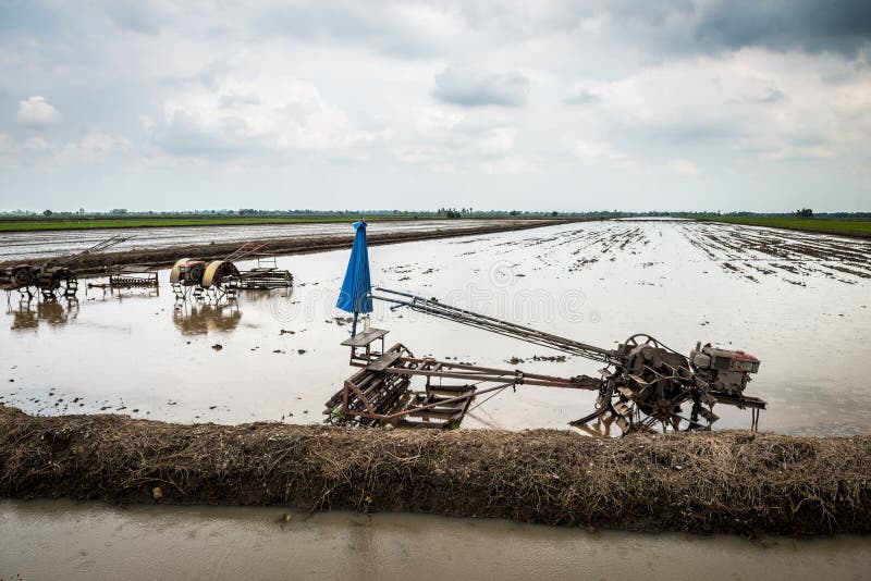 Plowman in rice field stock photo. Image of water, espalier - 22505754