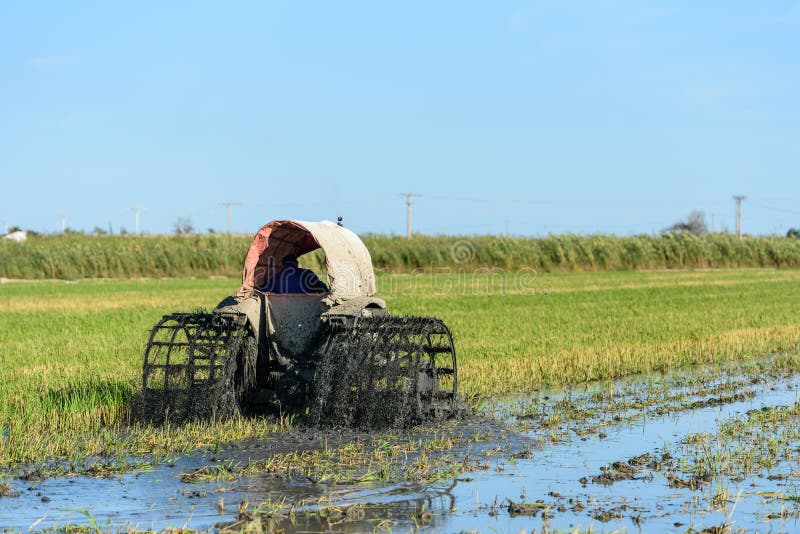 Tractor in Rice Field, Mechanism Farmer Rice Cultivation Stock Image ...
