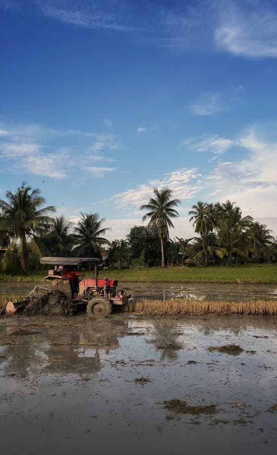 371 Tractor Plowing Paddy Field Photos - Free & Royalty-Free Stock ...