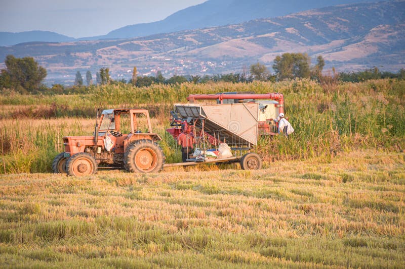 Tractor on the Road in the Countryside Editorial Photography - Image of ...