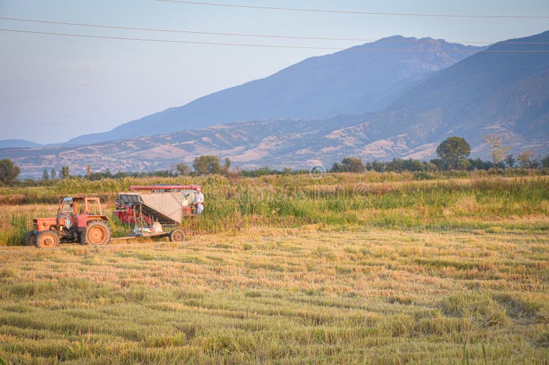 Tractor on the Road in the Countryside Editorial Stock Image - Image of ...