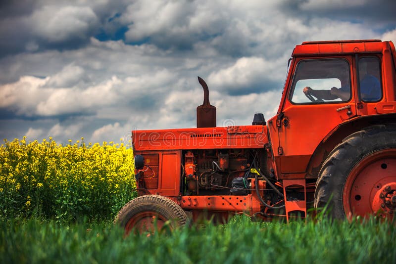 Tractor rojo en un campo imagen de archivo. Imagen de alimentador ...
