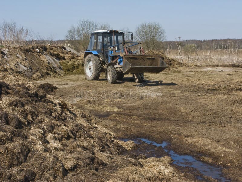 Tractor in silo pit stock photo. Image of organic, grass - 9212218