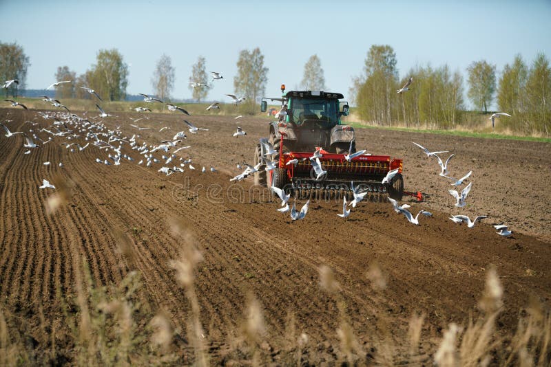 Tractor sowing field stock photo. Image of nature, plowing - 79214516