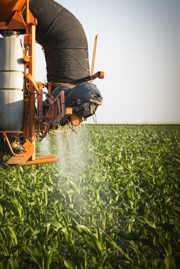Tractor Spraying Corn Field Stock Image - Image of scenics, material ...
