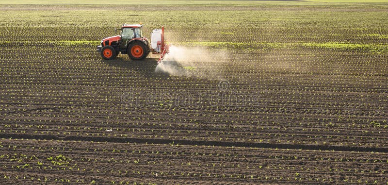 Tractor Spraying Corn Field Stock Image - Image of care, land: 182211715