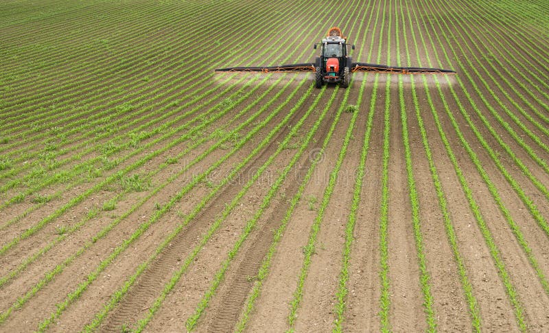 Tractor Spraying Corn Field Stock Image - Image of field, equipment ...