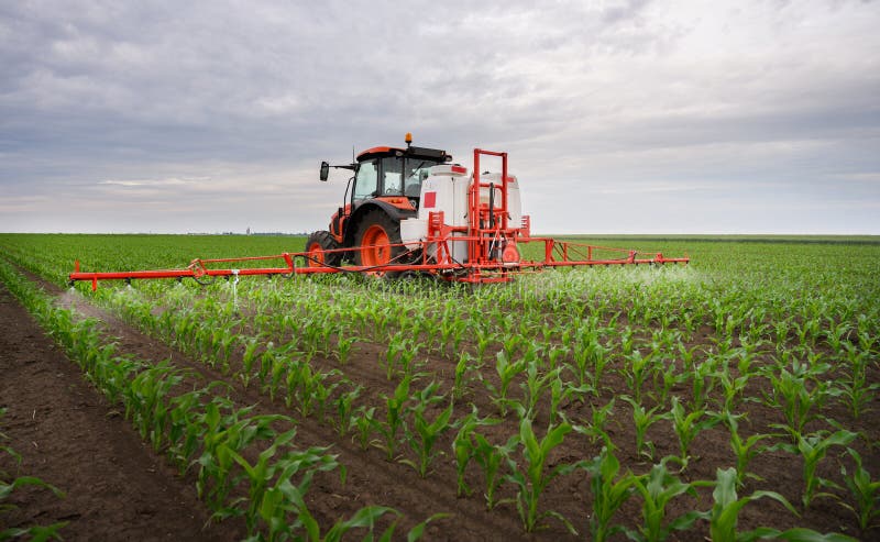Tractor Spraying Corn Field Stock Image - Image of monoculture, dust ...