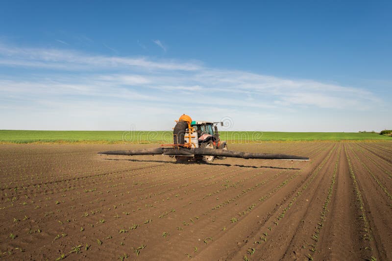 Tractor Spraying Corn Field Editorial Stock Photo - Image of care ...