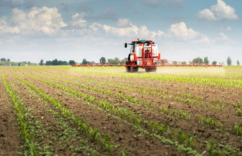 Tractor Spraying Corn Field Stock Image - Image of farmer, land: 218787797