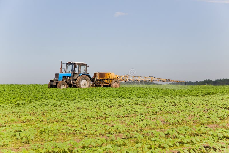 Sugar beet harvester stock photo. Image of farmer, summer - 6823328