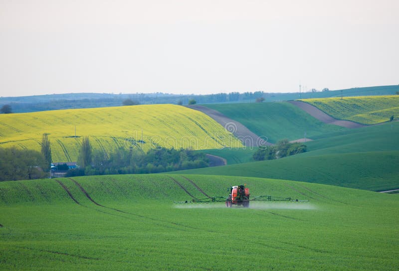 Tractor spraying fields stock image. Image of plant, landscaped - 57090067