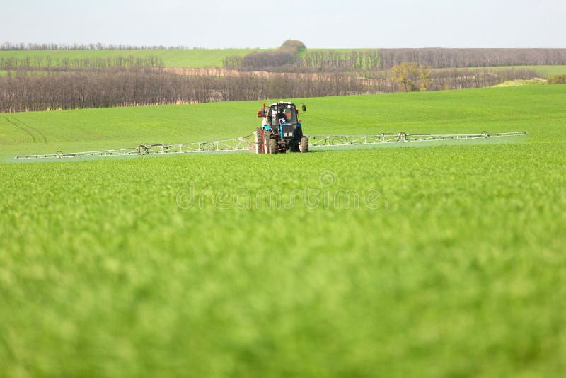 Tractor Spraying a Green Field on a Farm Stock Image - Image of field ...